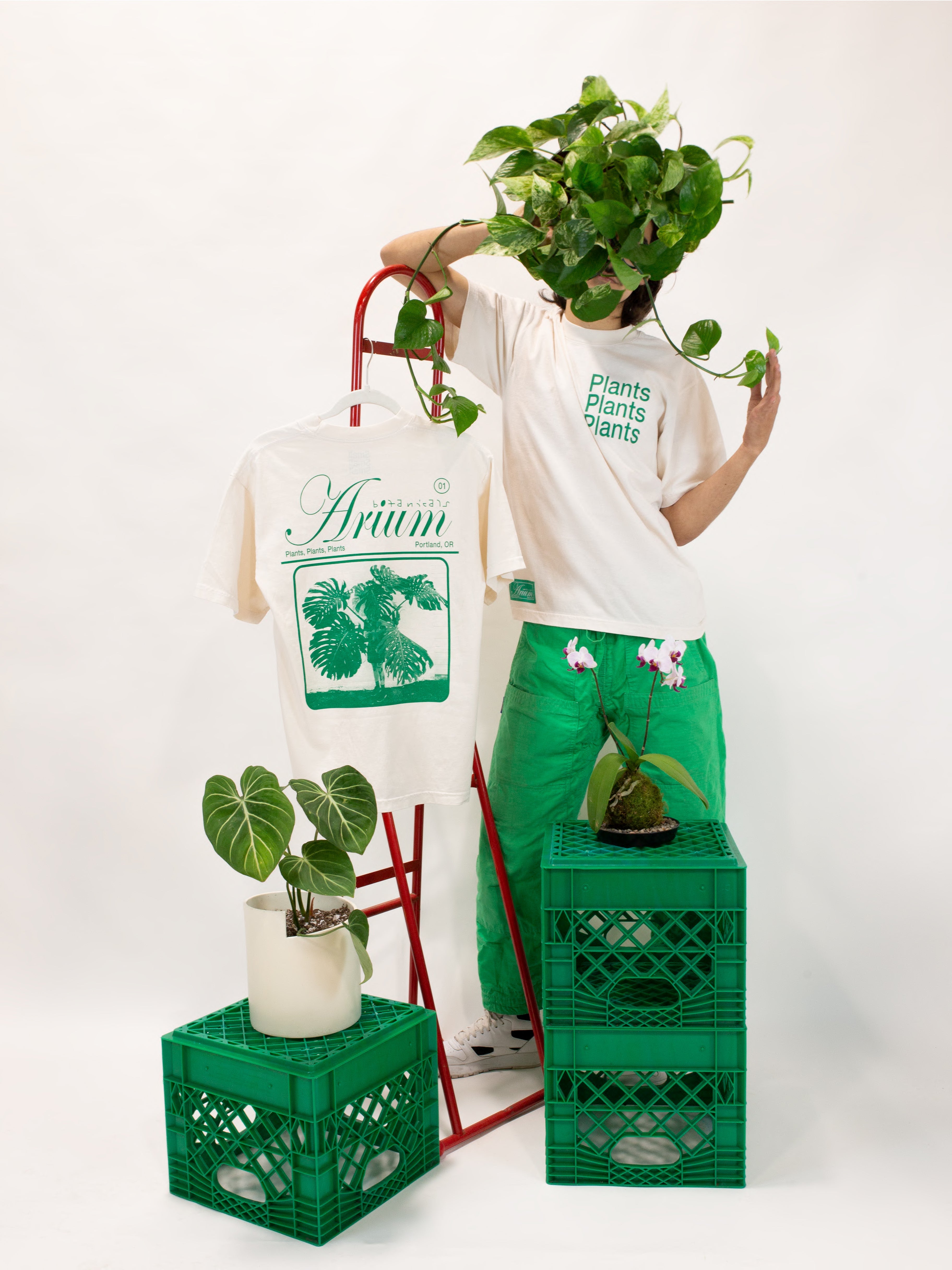 BLOG – ARIUM BOTANICALS