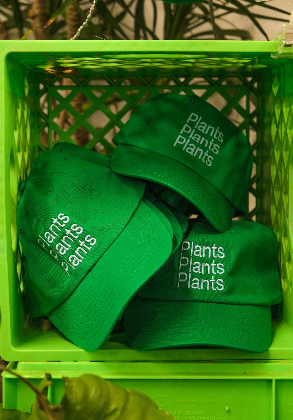 Arium Hat – ARIUM BOTANICALS