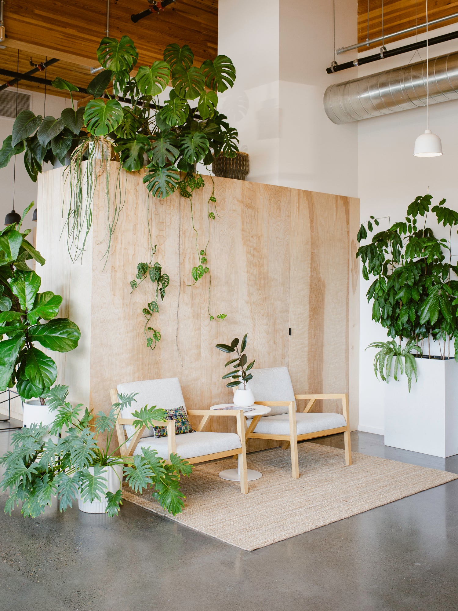 HOME – ARIUM BOTANICALS